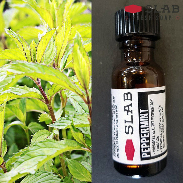 Peppermint Oil Uses | Peppermint Essential Oil | SLAB FRESH SOAP ...